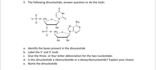 Solved 5. The following dinucleotide, answer question or do | Chegg.com