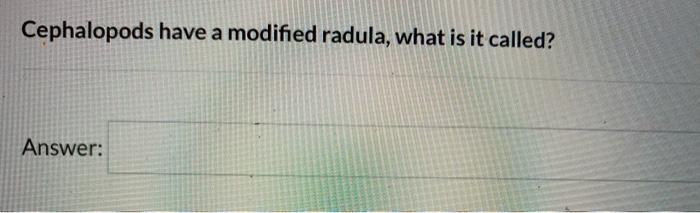 Solved Cephalopods have a modified radula, what is it | Chegg.com