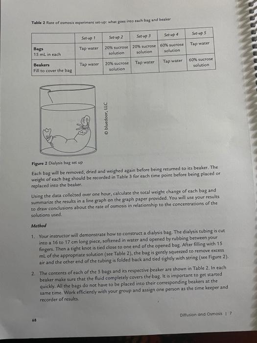 Solved Table 2 Rate of osmosis experiment set-up: what goes | Chegg.com