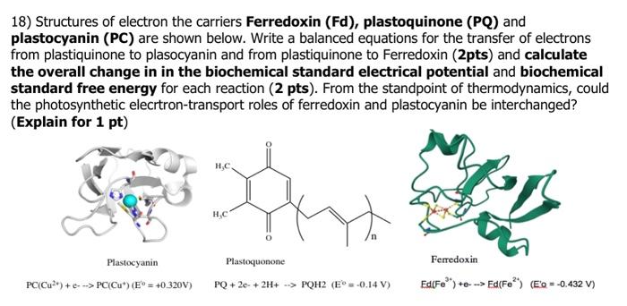 Solved 18) Structures of electron the carriers Ferredoxin | Chegg.com