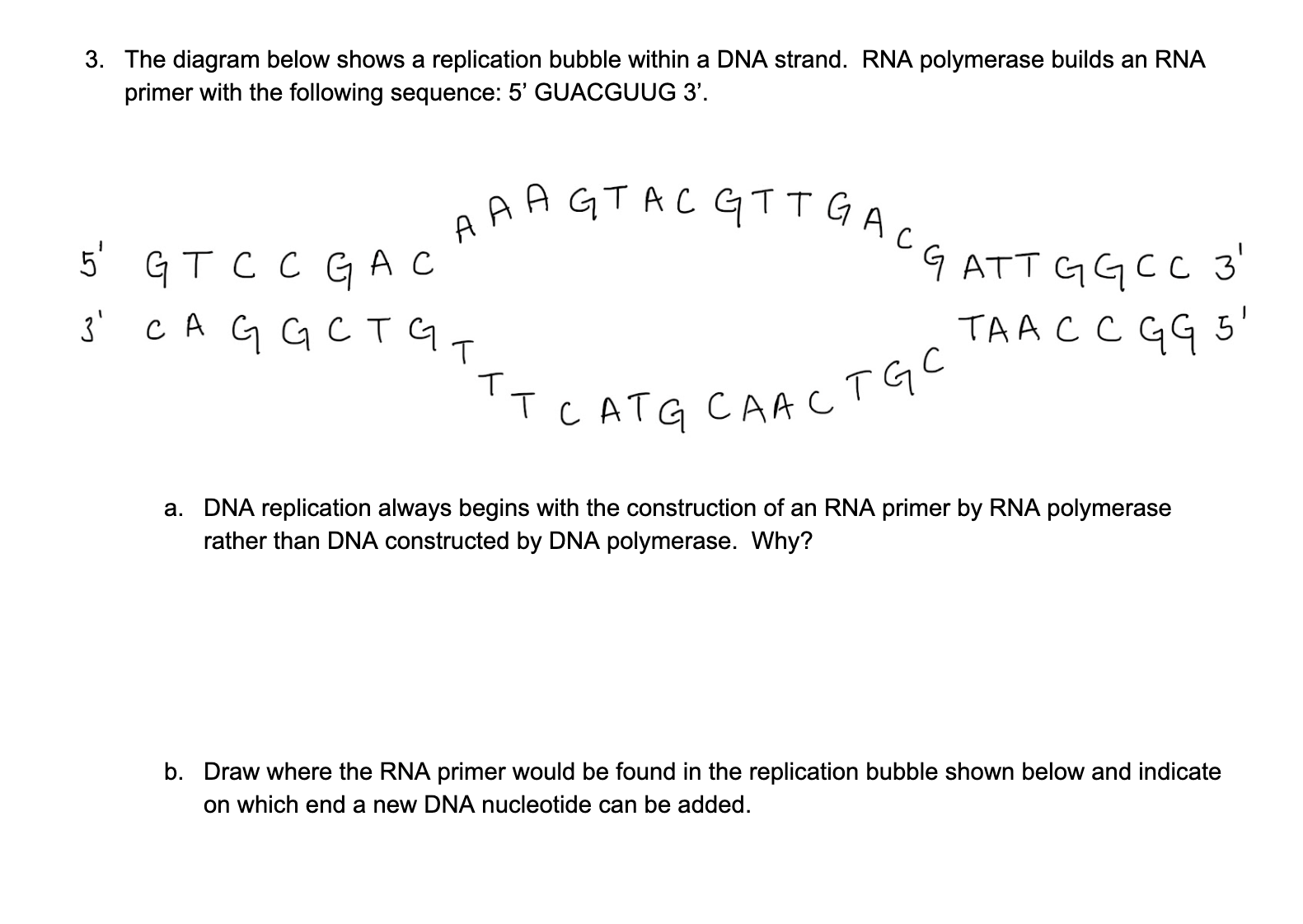 Solved a. ﻿DNA replication always begins with the | Chegg.com