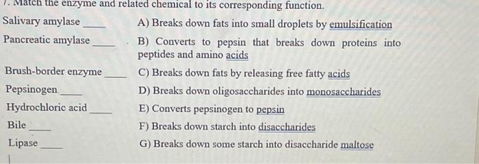 Solved Match the cell of the gastric gland to its and | Chegg.com