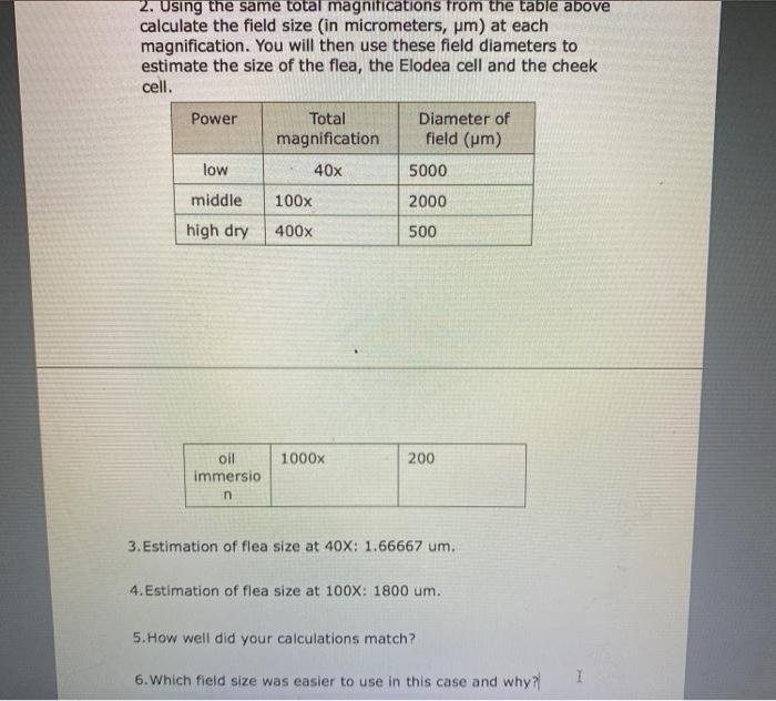 Solved Microscope Post-lab Assignment total magnification = | Chegg.com