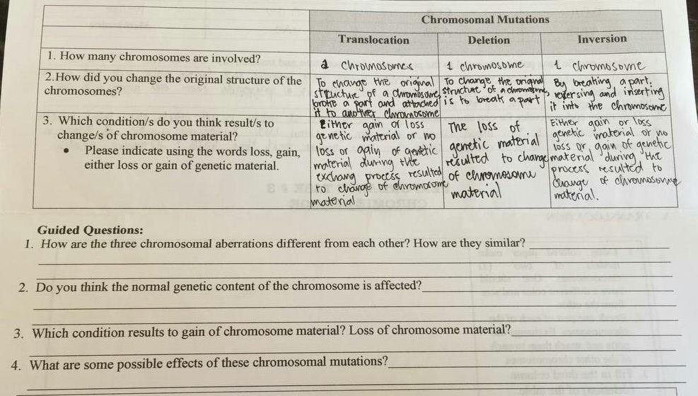 Solved Chromosomal Mutations Translocation Deletion | Chegg.com