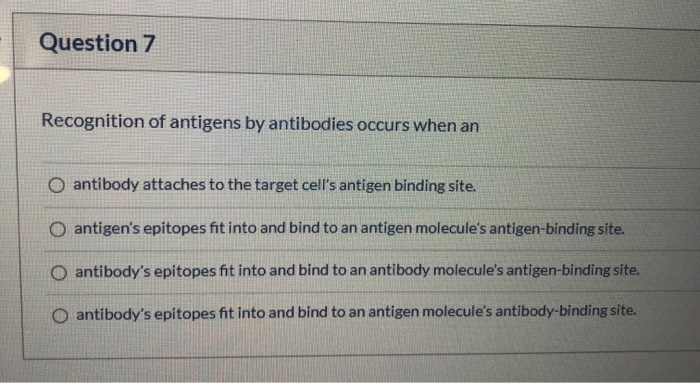 Solved Question 7 Recognition of antigens by antibodies | Chegg.com