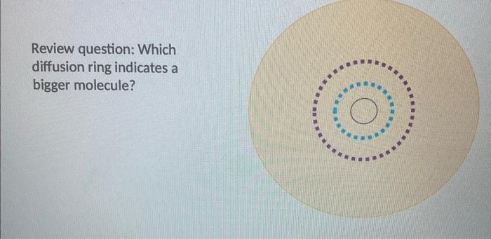 Solved Review question: Which diffusion ring indicates a | Chegg.com