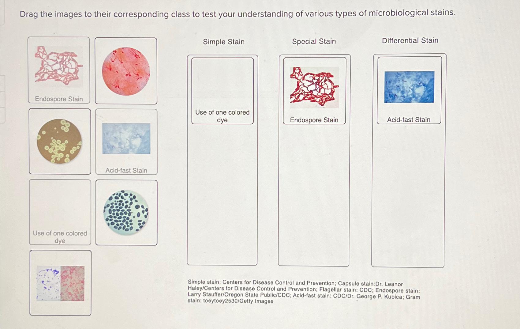 Solved Drag the images to their corresponding class to test | Chegg.com