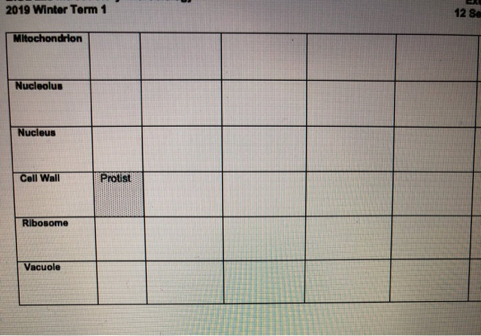 Solved you are using MicroBon Word Structure Caner | Chegg.com