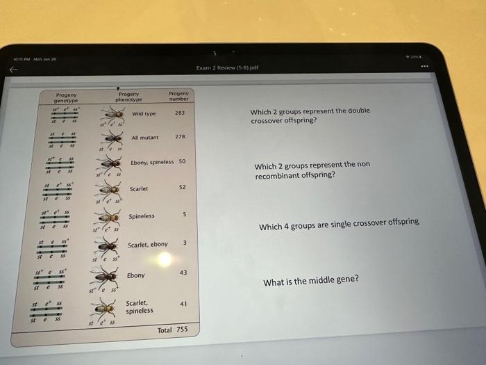 Solved ng | Chegg.com