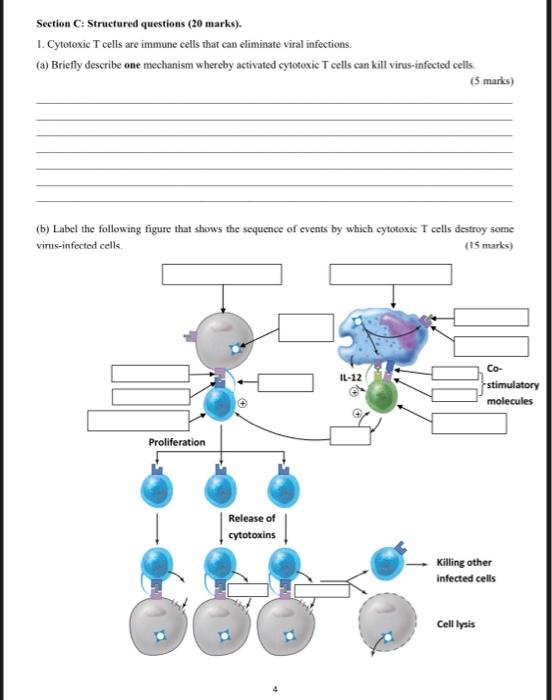 Solved Section C: Structured questions (20 marks). 1. | Chegg.com