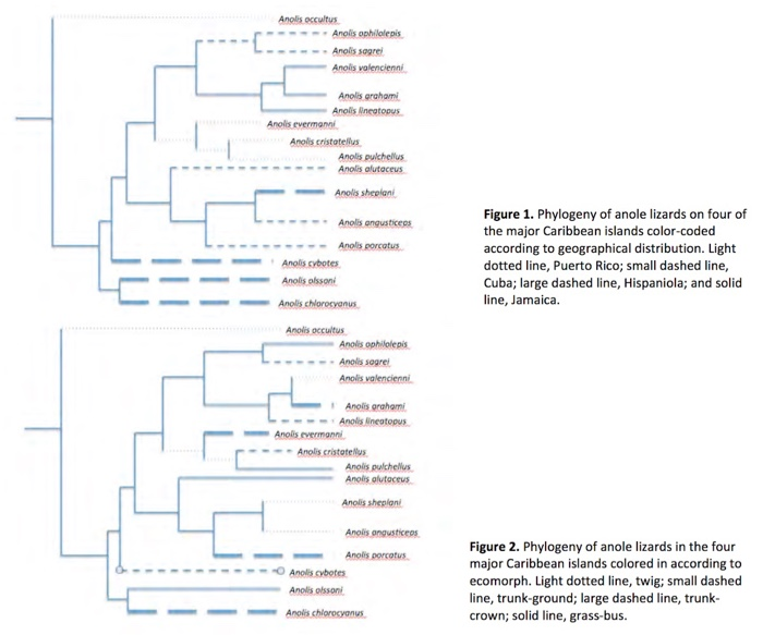 Solved In module 2 of the virtual lab, you used DNA | Chegg.com