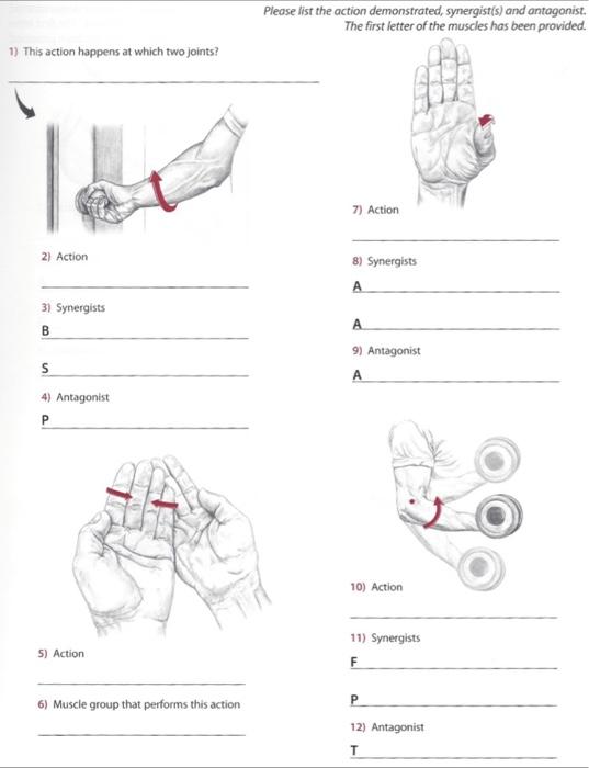 Solved Please list the action demonstrated, synergist(s) and | Chegg.com