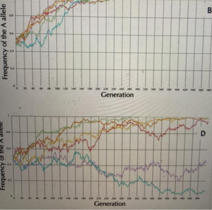 Solved Each graph below shows the frequency of the A allele | Chegg.com