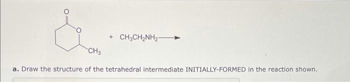 Solved o + CH3CH2NH2 CH3 a. Draw the structure of the | Chegg.com