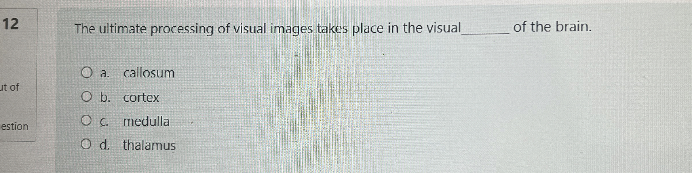 Solved 12The ultimate processing of visual images takes | Chegg.com