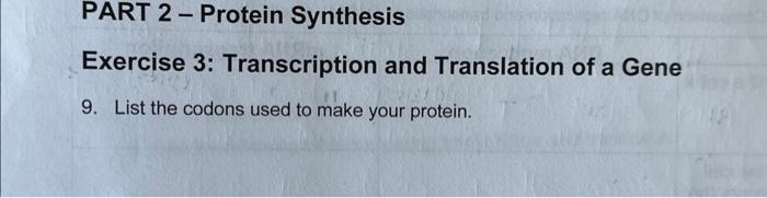Solved Exercise 3: Transcription and Translation of a Gene | Chegg.com
