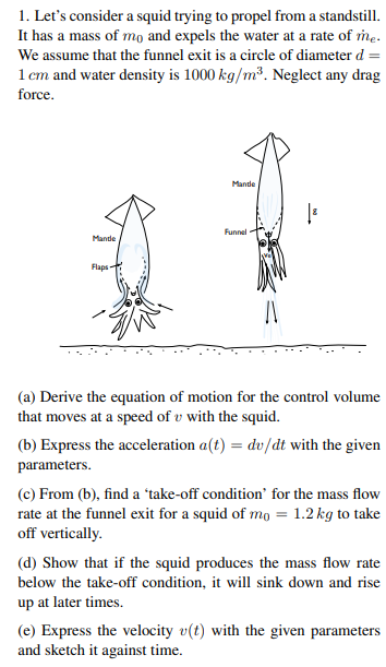 Solved 1. Let's consider a squid trying to propel from a | Chegg.com