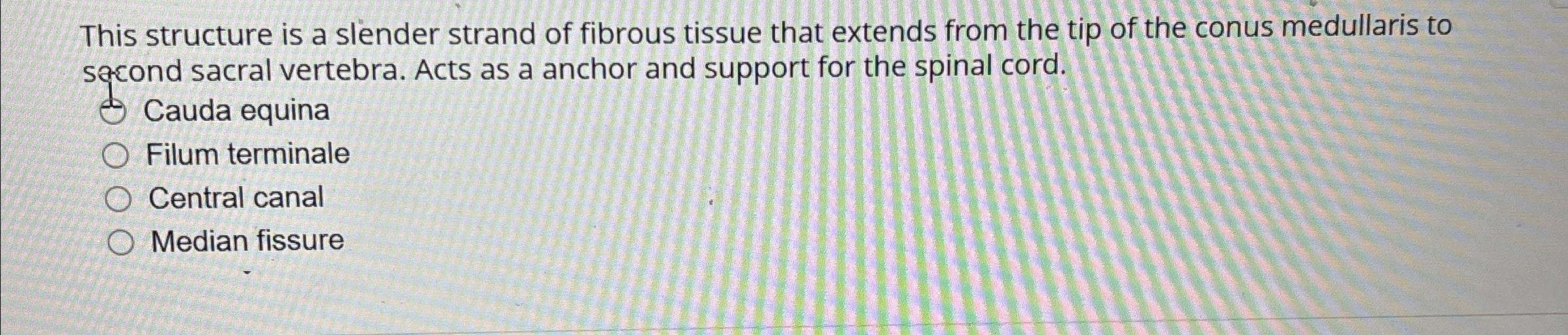 Solved This structure is a slender strand of fibrous tissue | Chegg.com