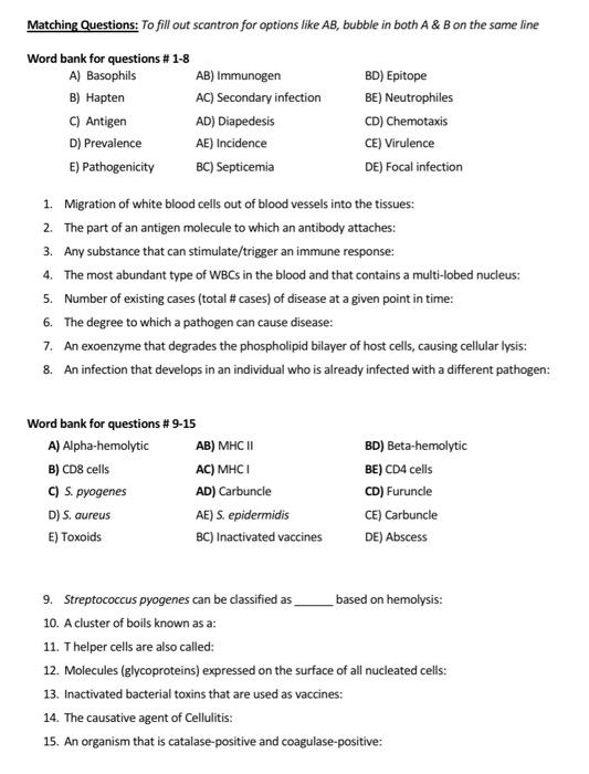 Solved Word bank for questions \# 1-8 A) Basophils AB) | Chegg.com