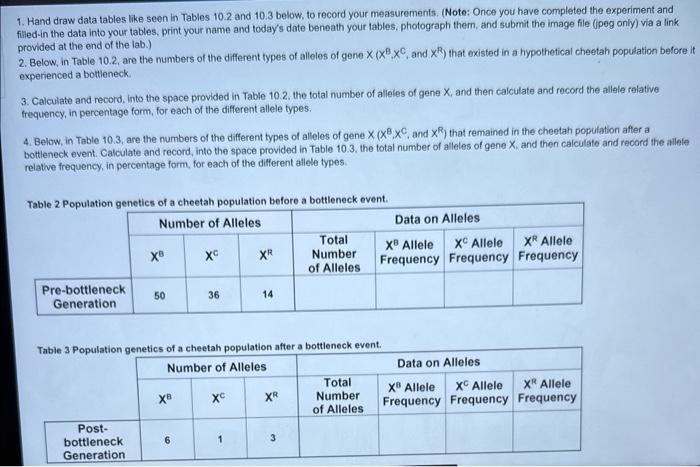Solved 1. Hand draw data tables like seen in Tables 10.2 and | Chegg.com