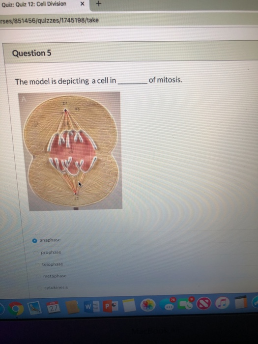 Solved Quiz: Quiz 12: Cell Division X | Chegg.com