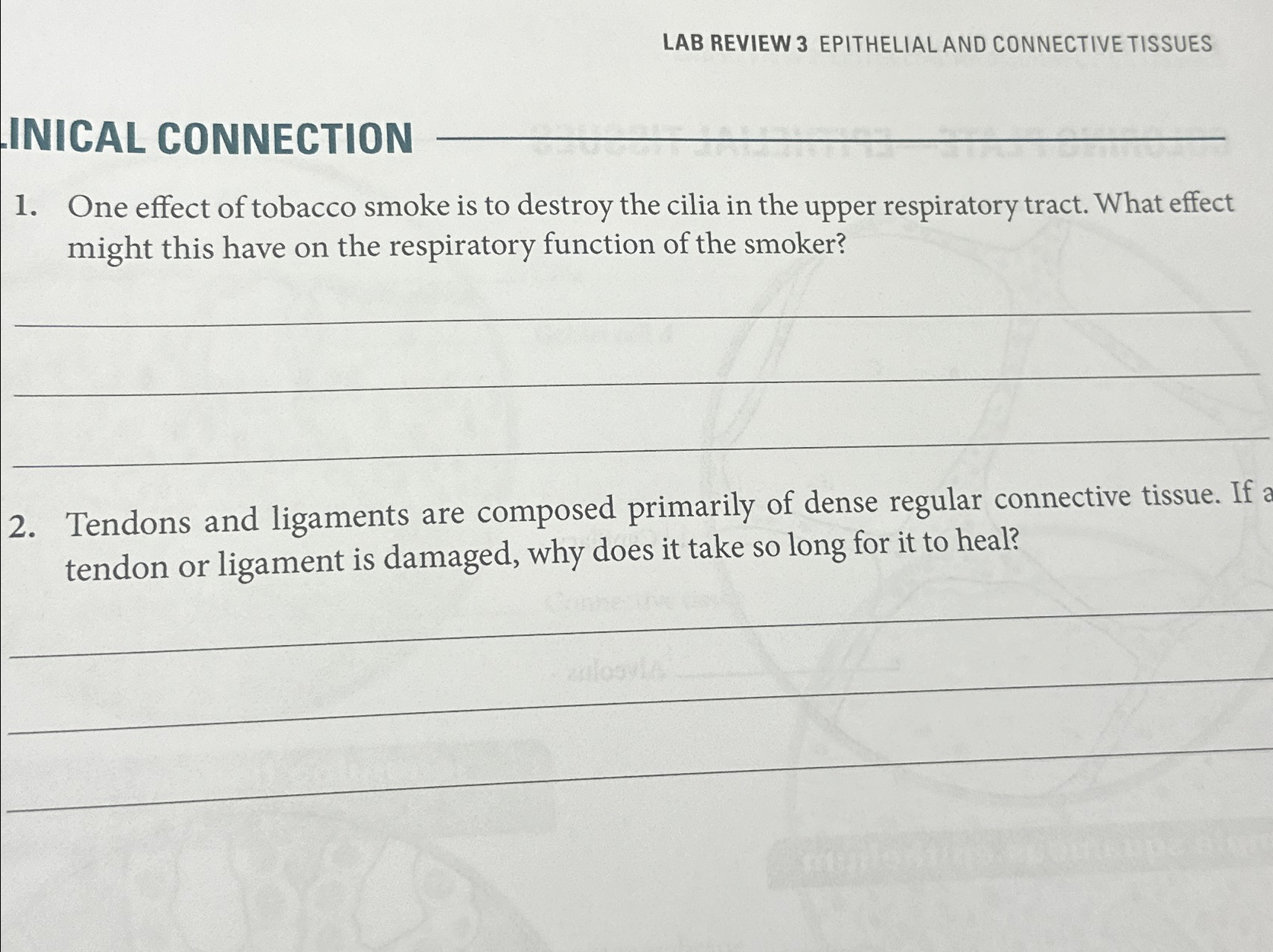 Solved LAB REVIEW 3 ﻿EPITHELIAL AND CONNECTIVE TISSUESINICAL | Chegg.com