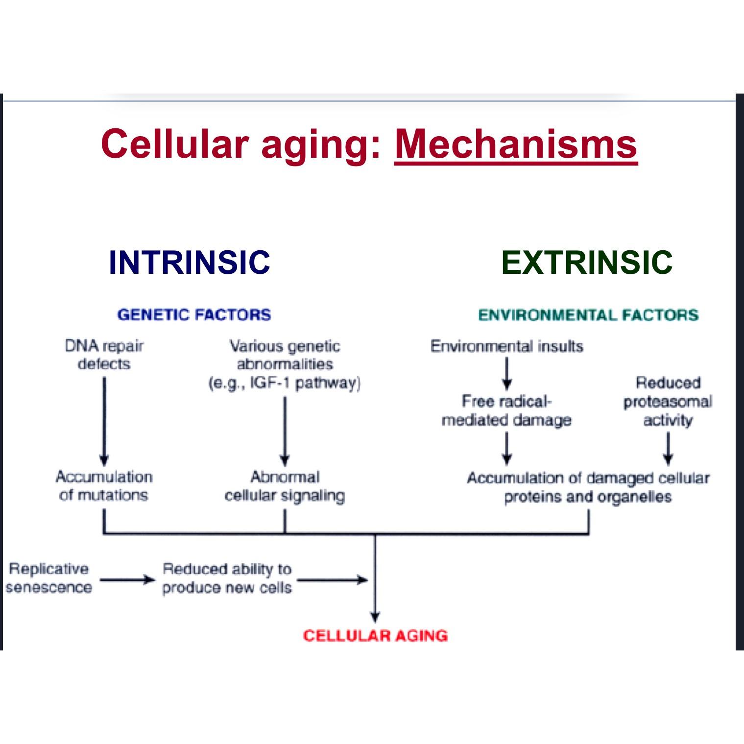 Solved How can I figure outCellular aging: | Chegg.com