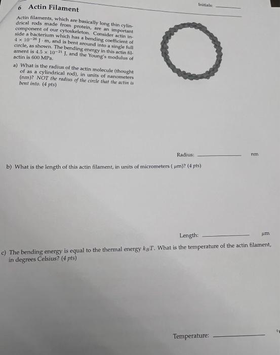 Solved 6 Actin Filament Actin filaments, which are basically | Chegg.com