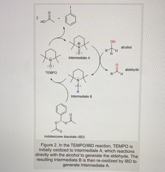 Solved 1. Under acidic conditions, the two aldehyde isomers | Chegg.com