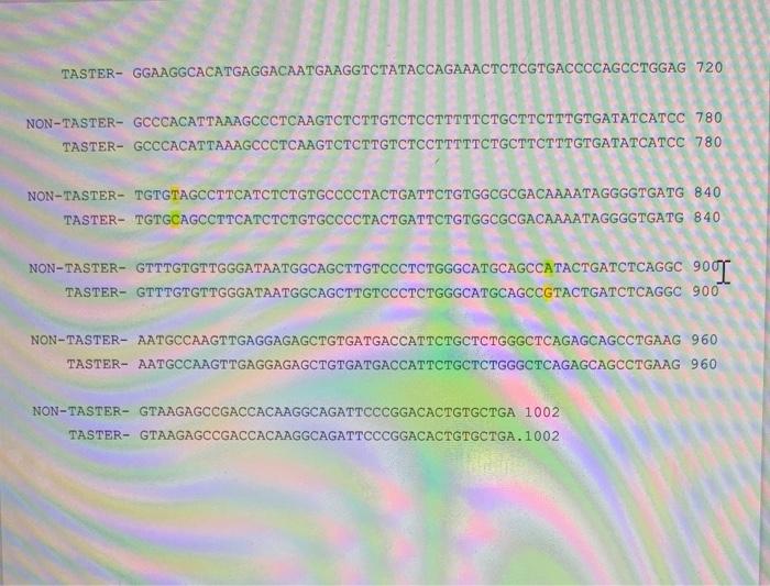 Solved AQ6) How many amino acids are in the TAS2R38 protein? | Chegg.com