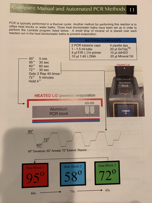 Solved Compare Manual and Automated PCR Methods 11 TM PCR is | Chegg.com