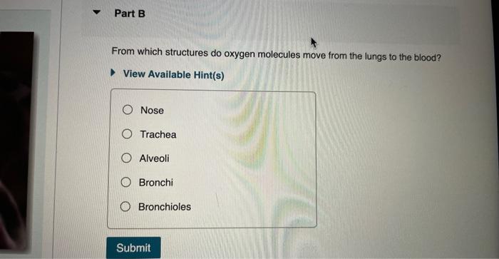 Solved During inhalation, View Available Hint(s) the | Chegg.com