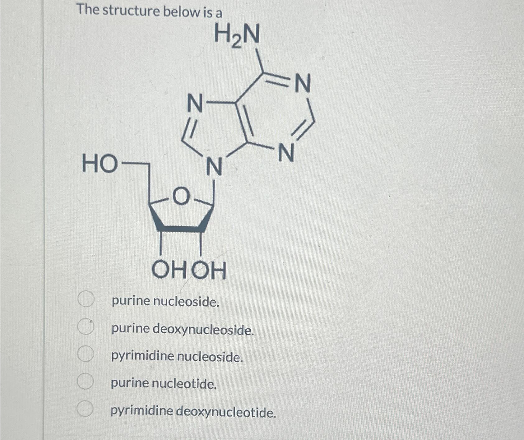 Solved The structure below is apurine nucleoside.purine | Chegg.com