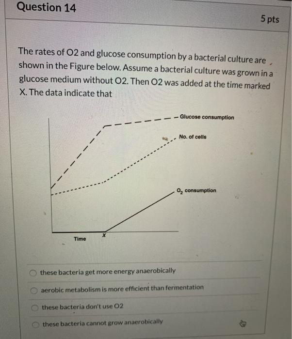 Solved Question 14 5 pts The rates of O2 and glucose | Chegg.com