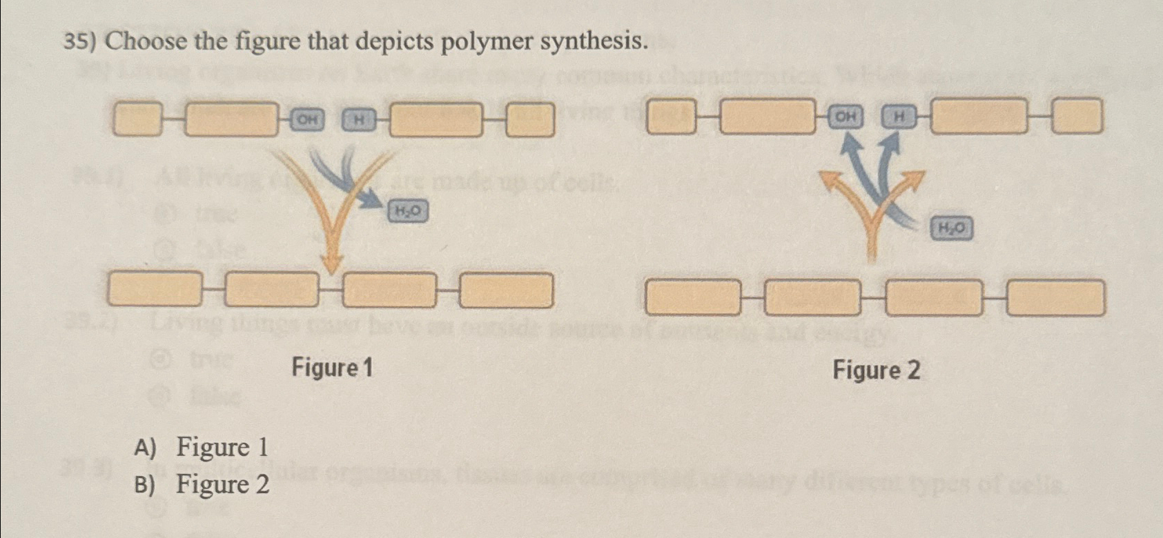 Solved Choose The Figure That Depicts Polymer