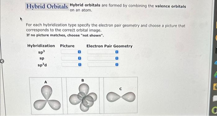 Solved Hybrid Orbitals Hybrid orbitals are formed by | Chegg.com