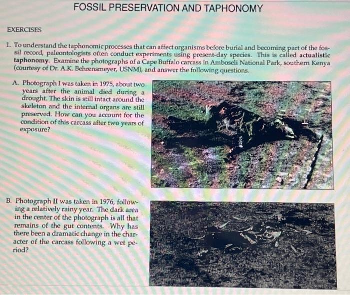 Solved FOSSIL PRESERVATION AND TAPHONOMY EXERCISES 1. To | Chegg.com
