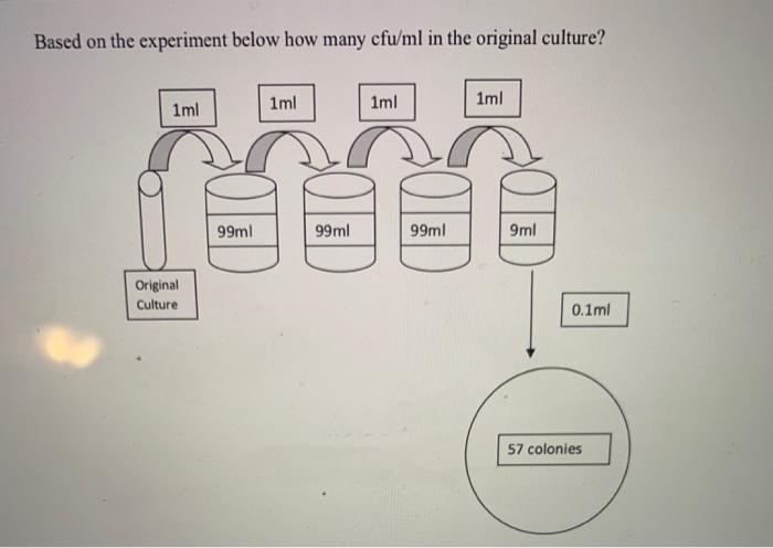 Solved Based on the experiment below how many cfu/ml in the | Chegg.com