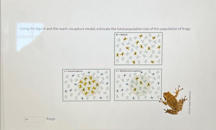Solved Using The Figure And The Mark Recapture Model