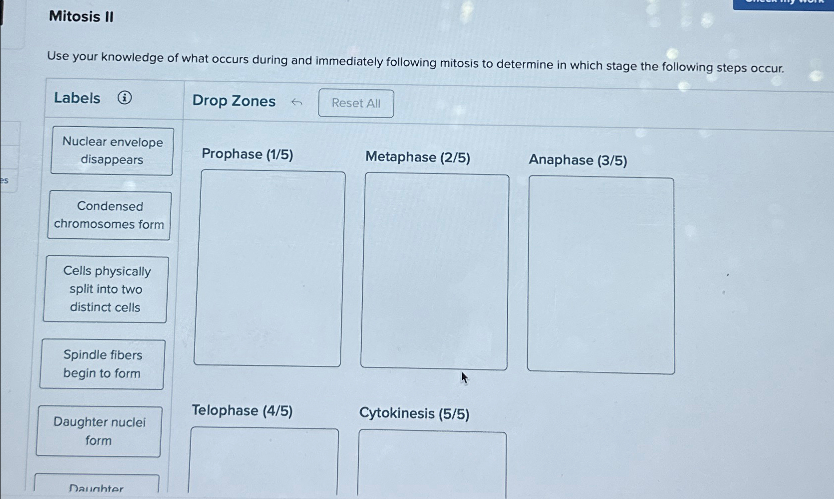 Solved Mitosis IIUse your knowledge of what occurs during | Chegg.com