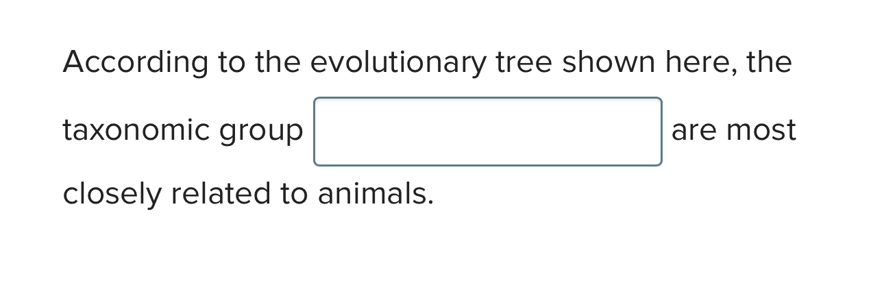 Solved According to the evolutionary tree shown here, the | Chegg.com