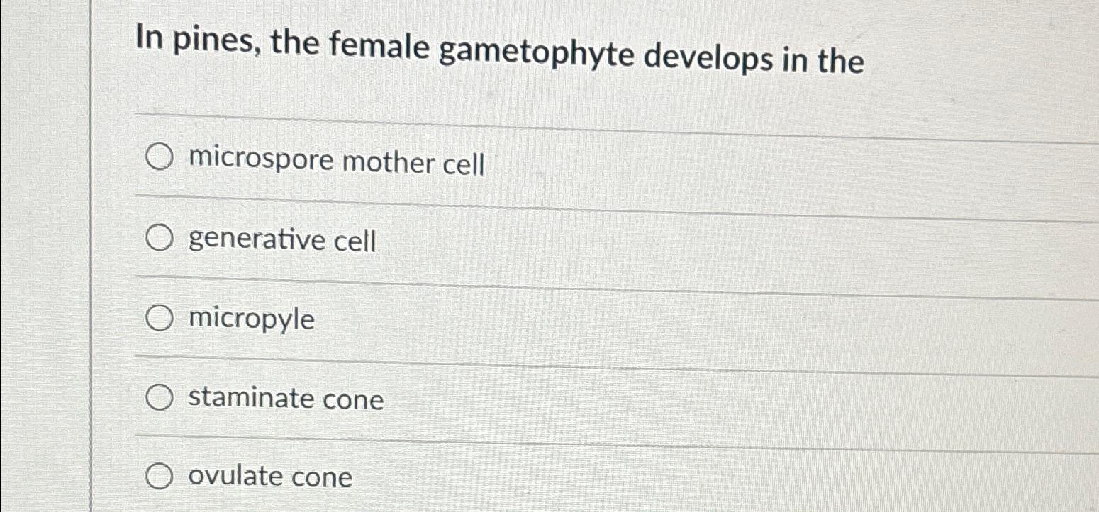 Solved In pines, the female gametophyte develops in | Chegg.com