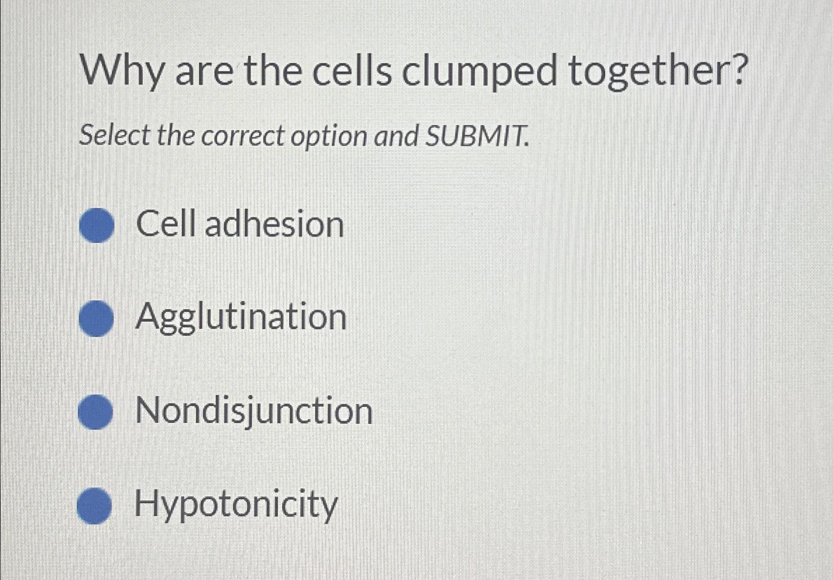 Solved Why are the cells clumped together?Select the correct | Chegg.com