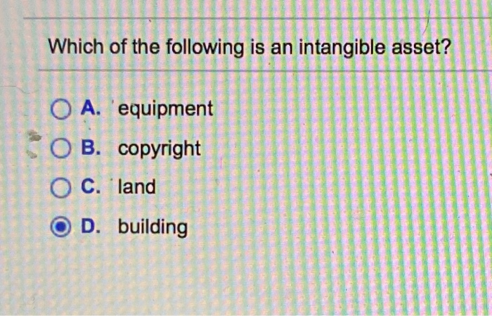 Solved Which of the following is an intangible asset O A. | Chegg.com