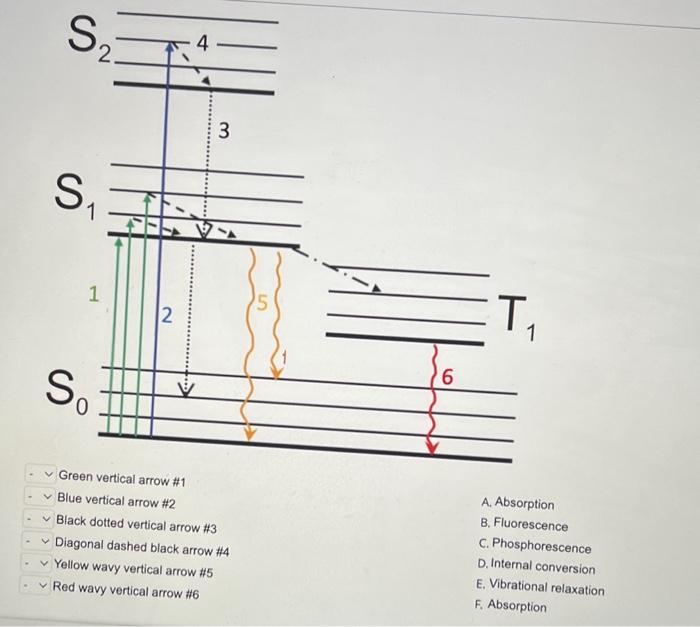 Solved Green vertical arrow \#1 Blue vertical arrow \#2 A. | Chegg.com