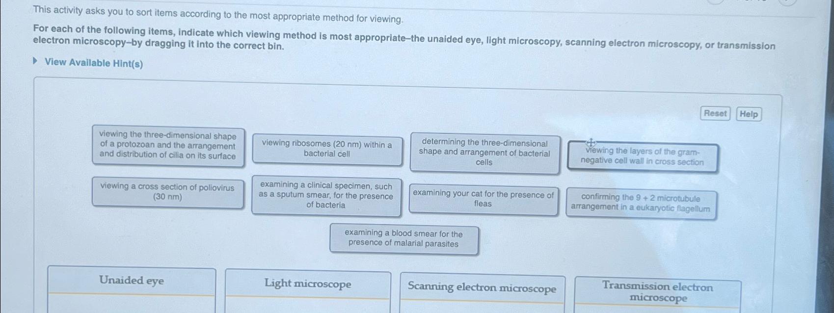 Solved This activity asks you to sort items according to the | Chegg.com