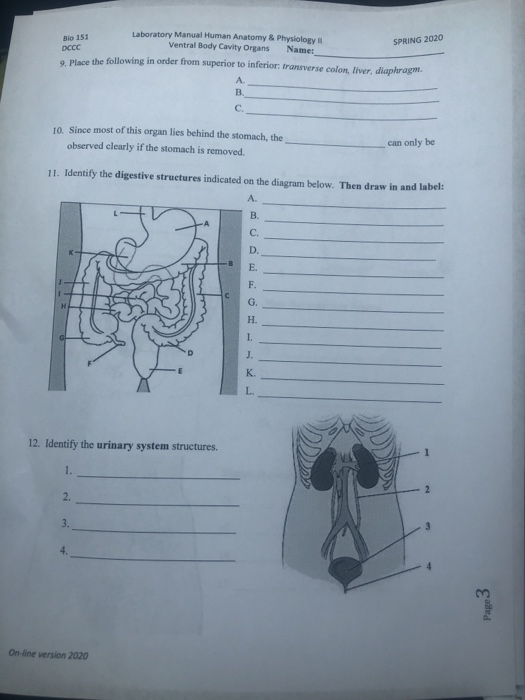 Solved SPRINUS Bio 151 DCCC Laboratory Manual Human Anatomy | Chegg.com