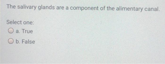 Solved The anterior chisel-shaped teeth that are adapted for | Chegg.com