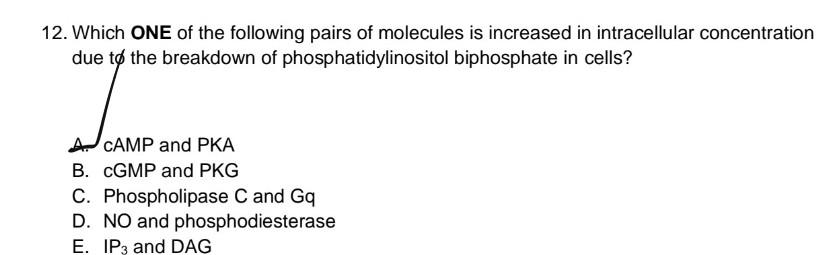 Solved there is mcq question where I am beat confused | Chegg.com