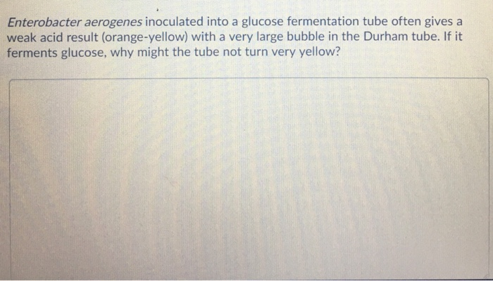 Solved Enterobacter aerogenes inoculated into a glucose | Chegg.com